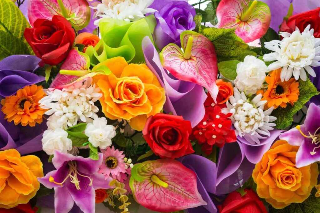 National Flower Day - Celebrate by Learning 15 Flower Facts