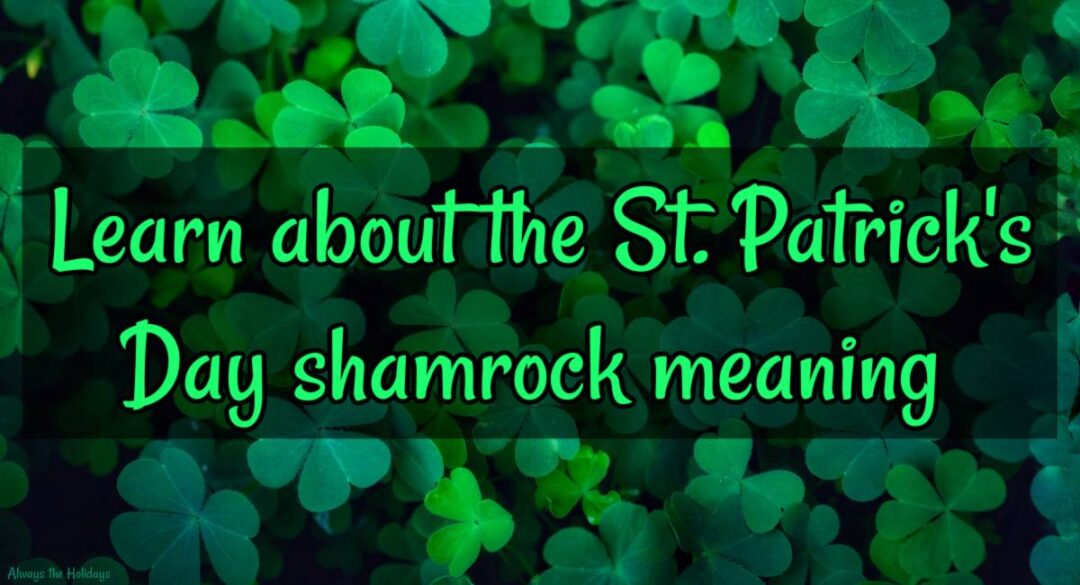 St. Patrick's Day Shamrock Meaning - 4 Leaf Clover vs Shamrock