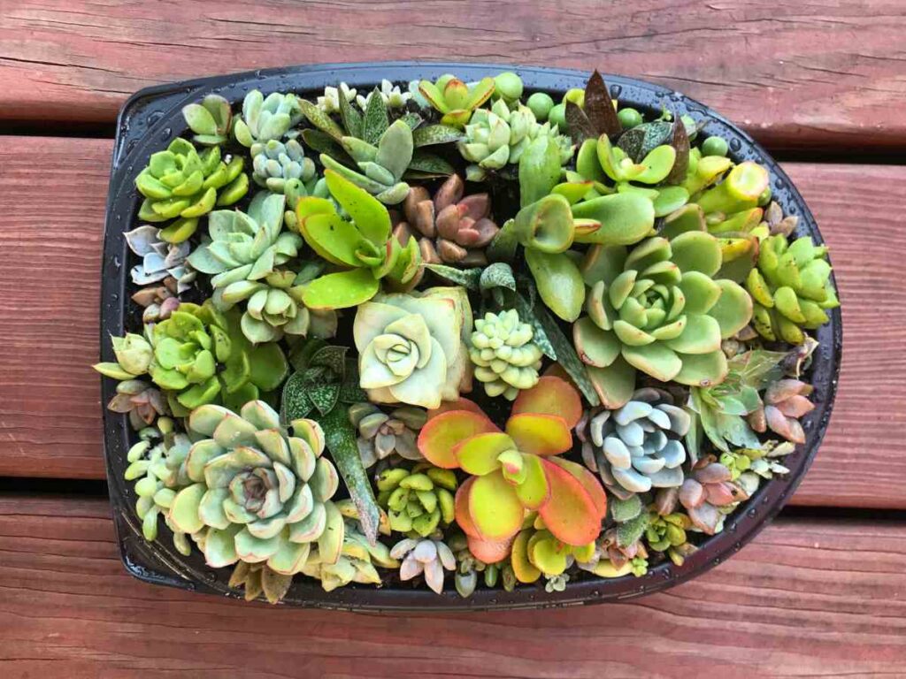 12 Earth Day Activities for Kids - Fun Eco-Friendly Earth Day Ideas