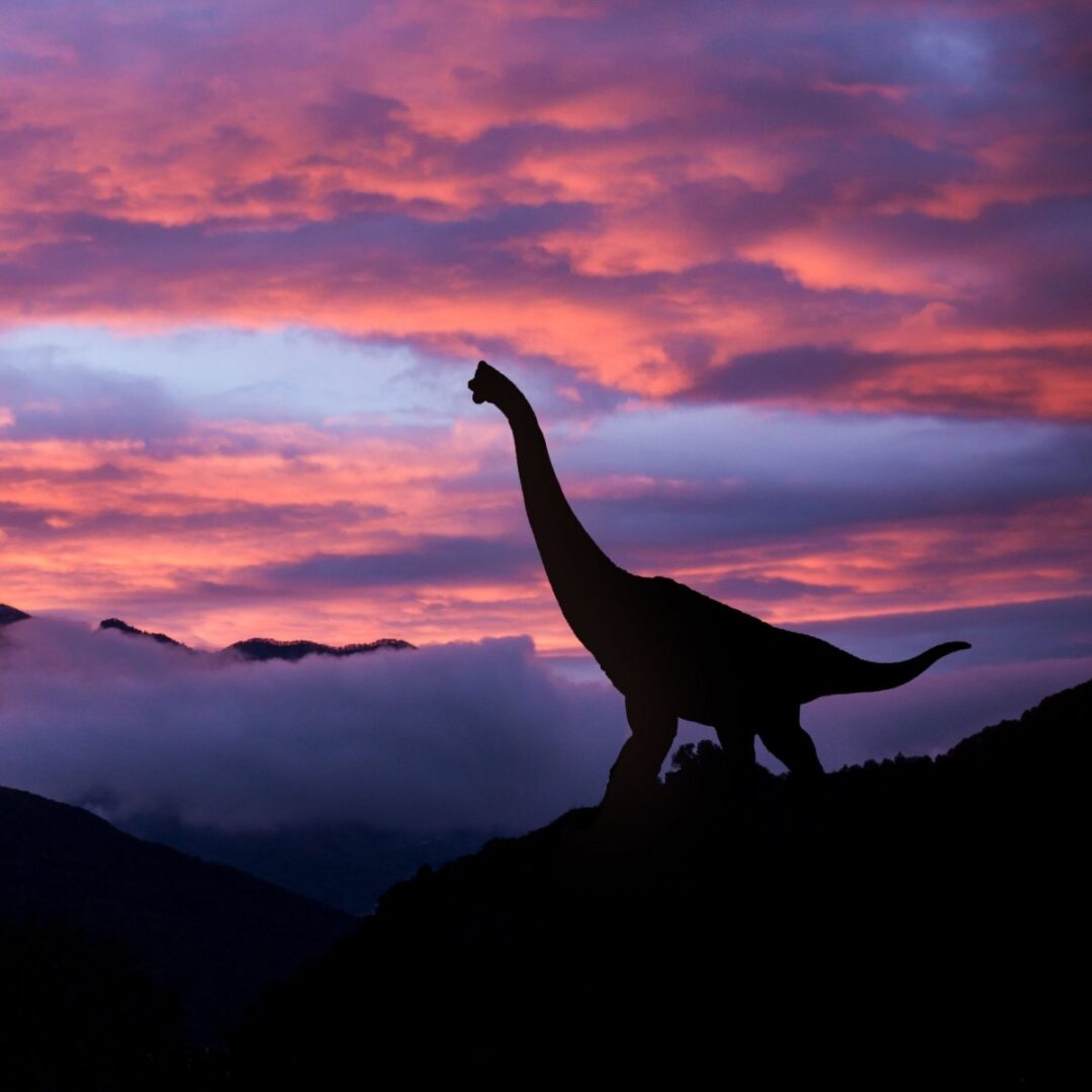 15 Interesting Dinosaur Facts for Kids to Celebrate Dinosaur Day