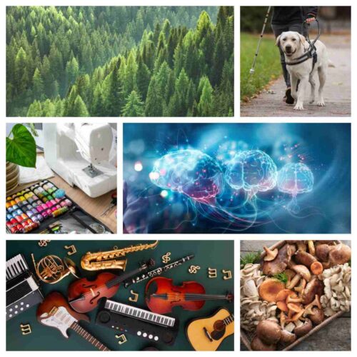 September Awareness Months and National Monthly Observances