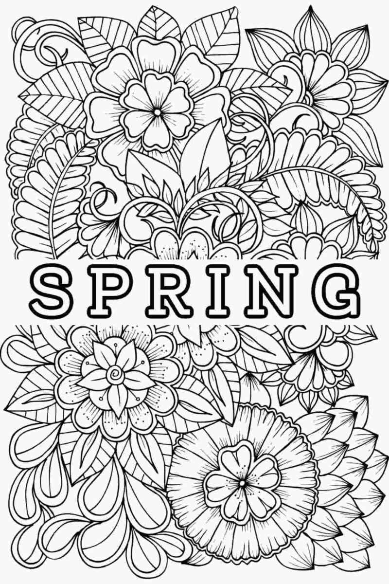 Get 20+ Free Spring Coloring Pages - Flowers, Butterflies & More!